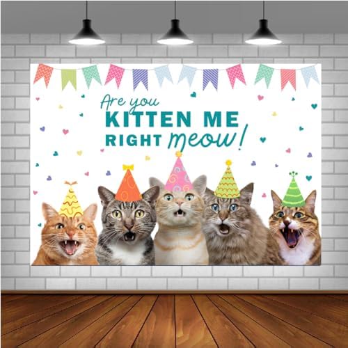 Amazon.com : Lofaris Cat Happy Birthday Backdrop are You Kitten Me ...