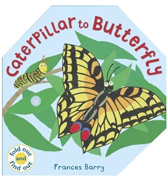 Caterpillar to Butterfly: Frances Barry: 9781406313819: Amazon.com: Books