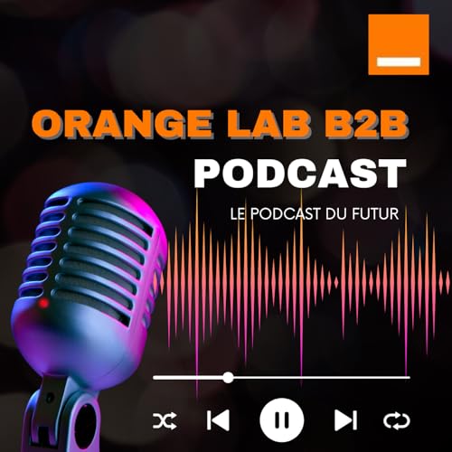 Orange Lab B2B : Orange Business Côte d'Ivoire: Amazon.fr: Livres et ...