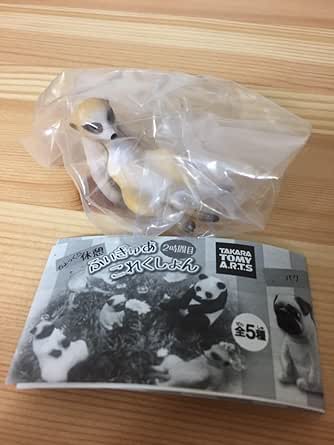 Amazon.co.jp: Mifugyu Collection Meerkat Gacha Figure, Break : Hobbies