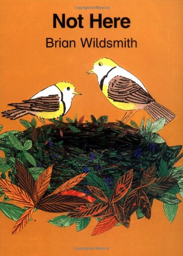 Not Here (Cat On The Mat Books) : Wildsmith, Brian: Amazon.co.uk: Books