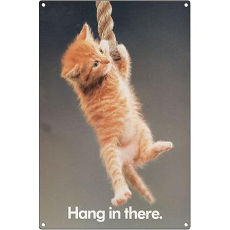 Amazon.com: Vintage Metal Tin Sign Hang in The Cat Poster, Hang in ...