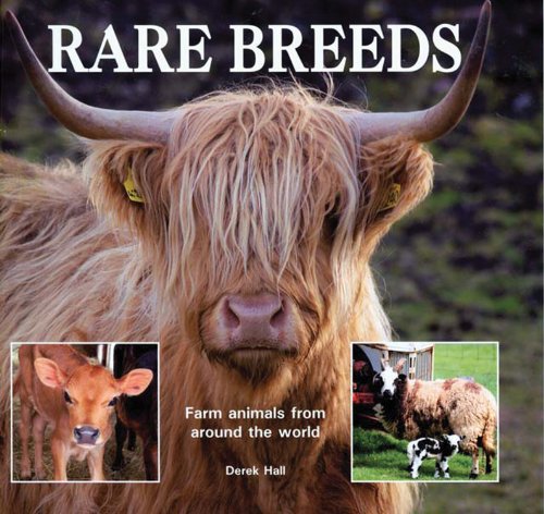 Rare Breeds: Farm Animals from Around the World: Hall, Derek ...