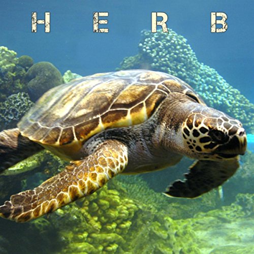 Play Herb The Turtle by Speed Limit 18 on Amazon Music