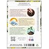 Amazon.com : Seed Needs St. Johns Wort Seeds for Planting - Non-GMO ...