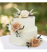 Amazon.com: Rinlong 3Pcs Berry Pink Cake Topper Pre-made Cake ...