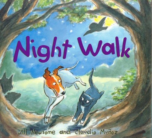 Amazon | Night Walk | Newsome, Jill, Munoz, Claudio | Friendship