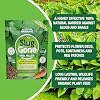 Vitax Slug Gone Wool Pellets, Natural, Organic Barrier To Protect ...