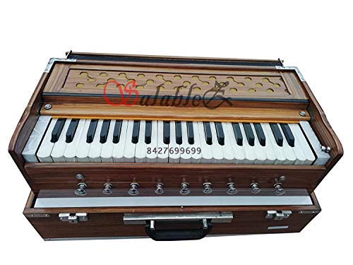 Salablez® Harmonium A440, 42 Keys, 9 Stop, Kail Wood, 3.25 Octaves ...