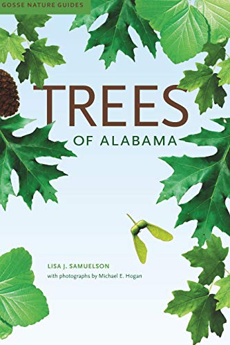 21 Best Trees Books of All Time - BookAuthority