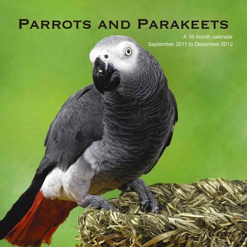 Parrot & Parakeets 2012 Wall Calendar #ANM12: Magnum Publications ...