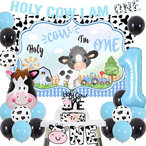 Hosting an Unforgettable 'Holy Cow I'm One' First Birthday Party for ...