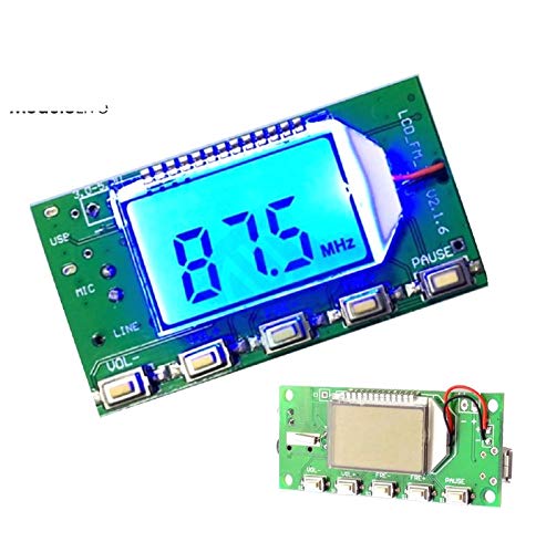 Lufasa New DSP&PLL 87-108MHZ LCD FM Radio Wireless Microphone Stereo ...