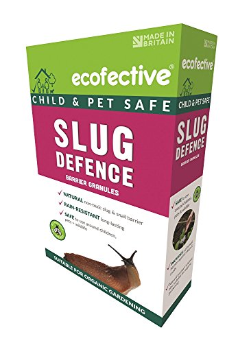 Best slug pellets and repellants (November 2020 Updated Review ...