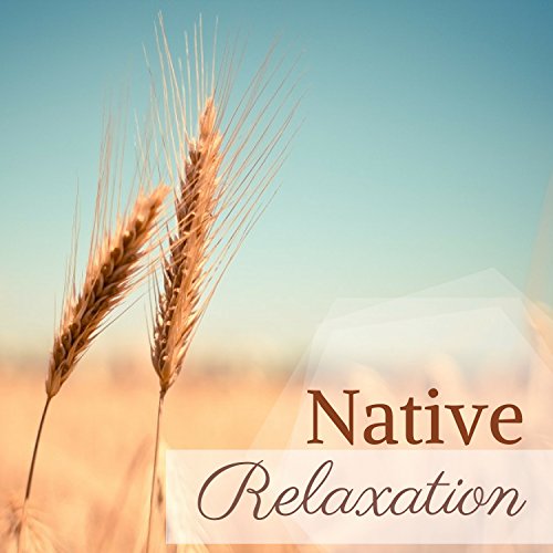 Amazon.com: Native Relaxation - XX Tracks: Zen Music Harmony, Healing ...
