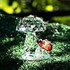 Amazon.com: H&D HYALINE & DORA Crystal Ladybug on Mushroom Figurine ...