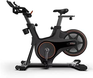 Matrix ICR50 Indoor Cycle Limited Edition : Amazon.de: Sport & Freizeit