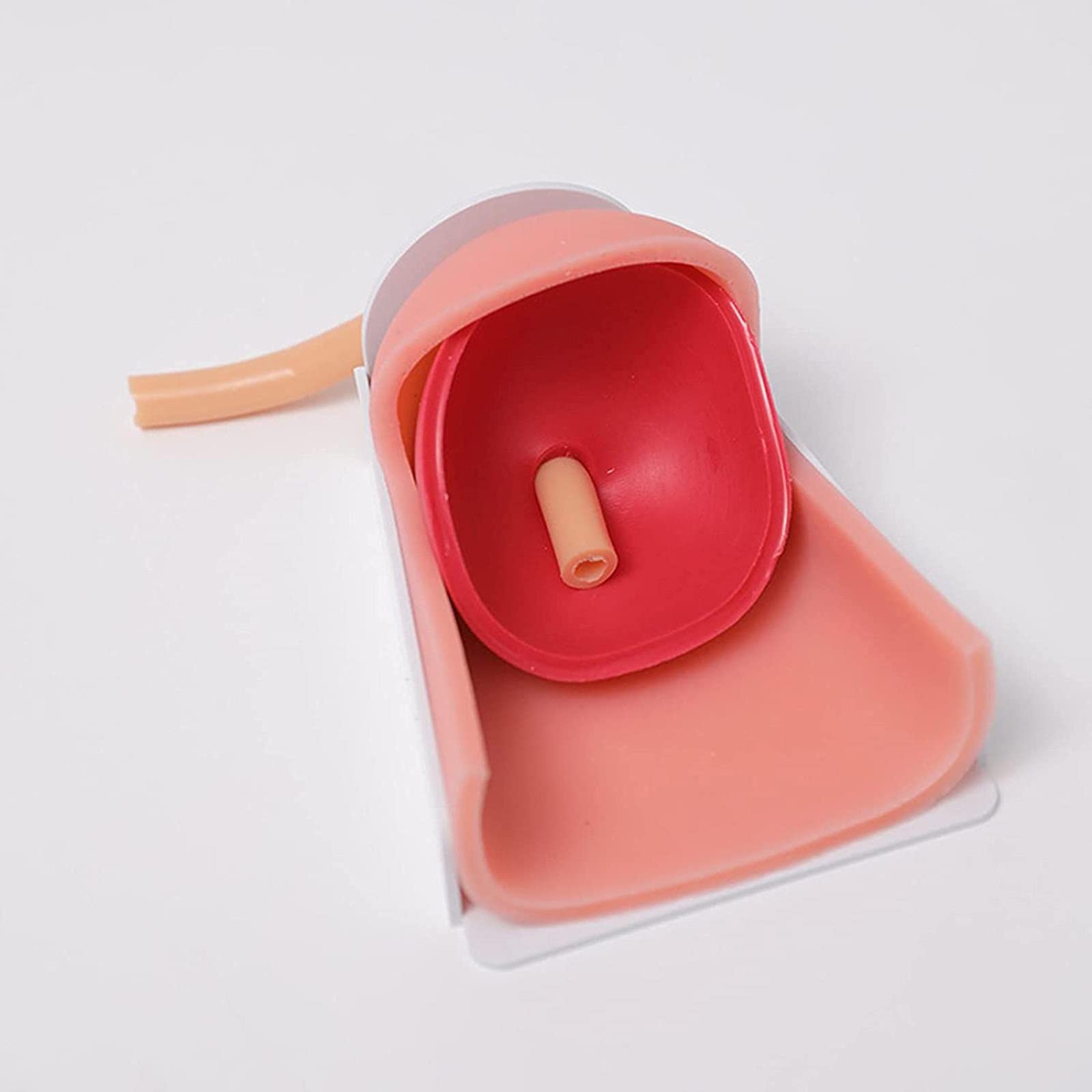 Laparoscopic Surgery Simulation Model Urethral Bladder Anastomosis ...