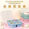 Amazon.com: CIGENBON Bento Snack Boxes 4 Pack, Reusable Bento Boxes ...
