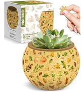 Amazon.com: PieceRelax 3D Puzzle Planter - Smart - Happy Reading ...