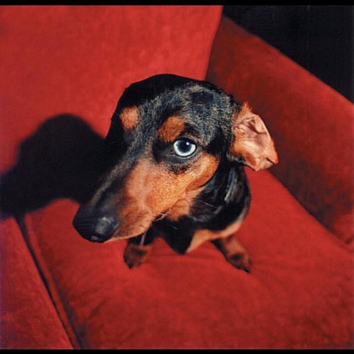 Play Tex by Flapping, Flapping, Flapping on Amazon Music