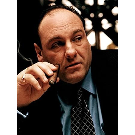 Amazon.com: Tony Soprano Portrait The Sopranos James Gandolfini 24x18 ...