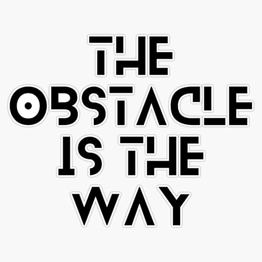 Amazon.com - The Obstacle is The Way - Stoic Philosophy - Marcus ...