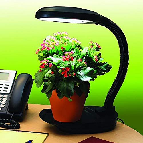 AgroBrite 14 Watt Desktop Plant Light, 14w LED, Black - Marijuana Grow ...