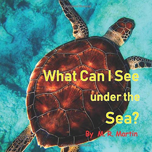 What Can I See Under the Sea?: Amazon.co.uk: Martin, M.R ...
