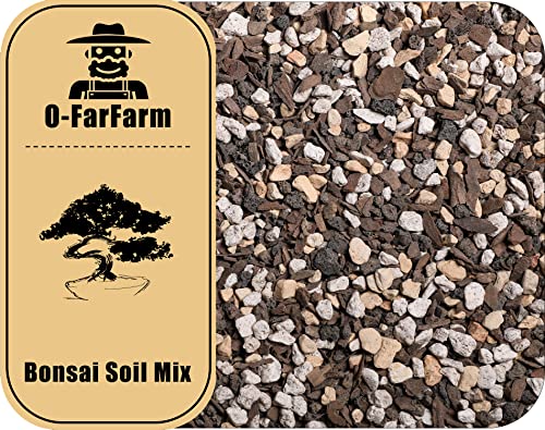 Find The Best Bonsai Tree Soil Mix Reviews & Comparison - Katynel