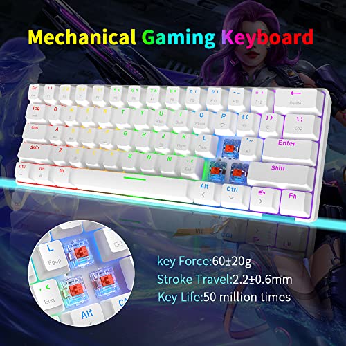 Snapklik.com : STK61 24Ghz Wireless/Bluetooth/Wired 60% Mechanical ...