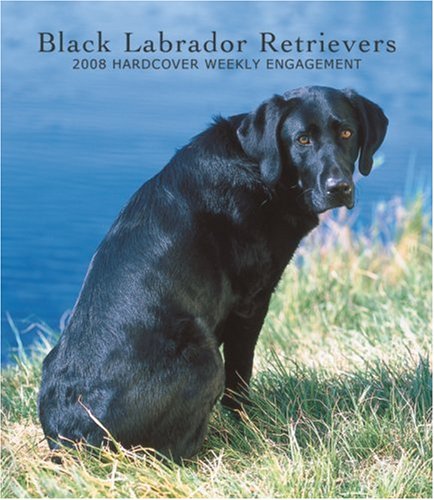 Amazon.com: Labrador Retrievers, Black 2008 Hardcover Weekly Engagement ...
