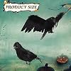Amazon.com: Lenwen Halloween Black Crows Extra Large Feathered Crow ...