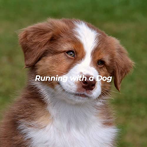 Play Running with a Dog by Music for Dogs Background Music & Home-Alone ...