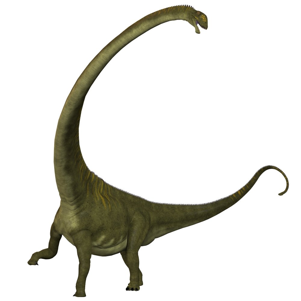 Mamenchisaurus Size