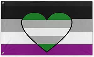Amazon.com : Greyromantic Asexual Pride Flag 3x5Fts - LGBTQIA+ Gender ...