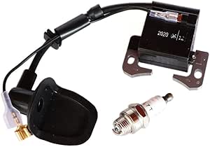 Amazon.com: Carburetor Rebuild Kit Ignition Coil & Spark Plug Fit for ...