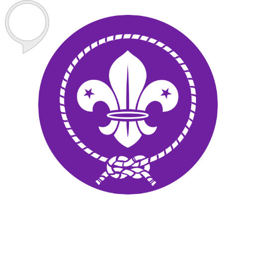 Amazon.co.uk: Scout Facts : Alexa Skills