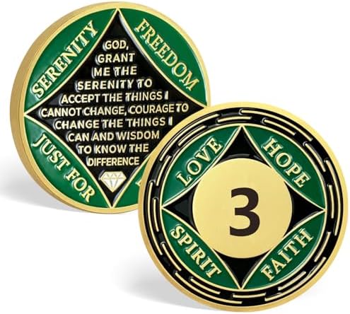 Amazon.com : NA Medallion Just for Today NA Token NA Chips NA Coins ...