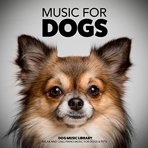 Play Music for Dogs: Relax and Chill Piano Music for Dogs & Pets by Dog ...