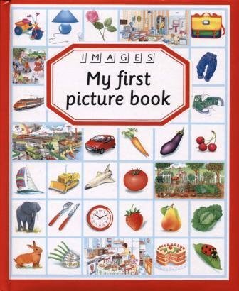 My First Picture Book (Fleurus Images): 9780765191854: Amazon.com: Books