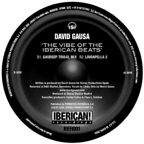 Amazon.com: David Gausa: The Vibe Of The Iberican Beats 12" VG++ Spain ...