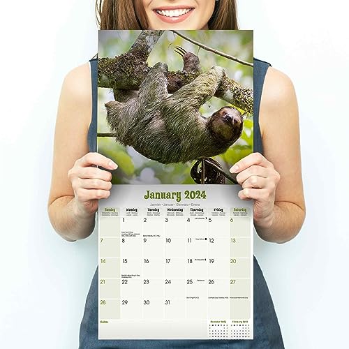 Snapklik.com : 2023 2024 Sloths - African Wildlife Monthly Wall ...