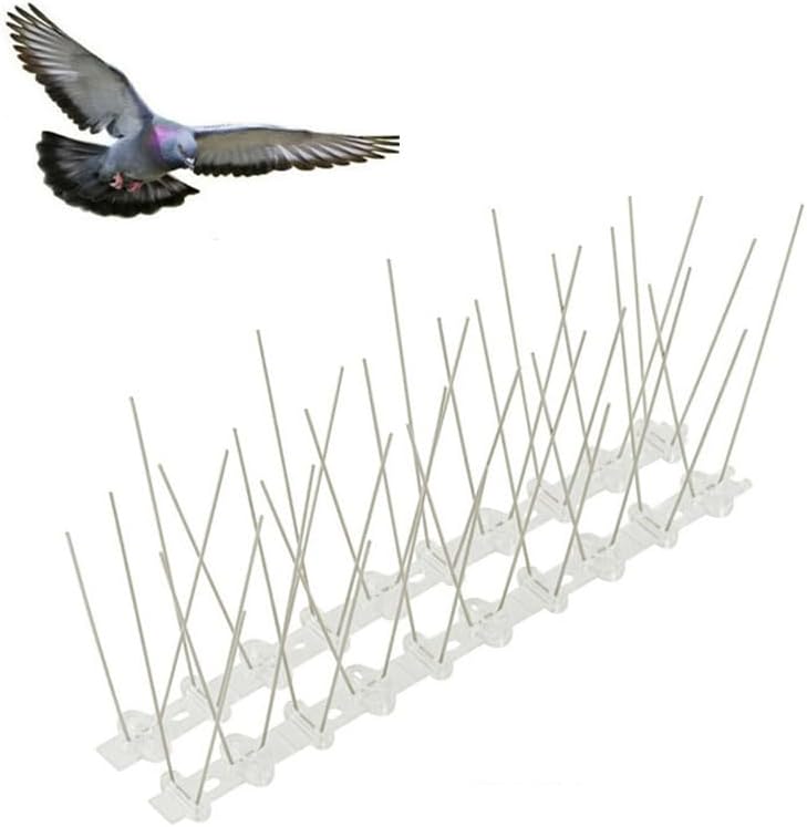 Steel Bird Spikes Fences,Stainless Steel Bird Deterrent Spikes,Pigeon ...