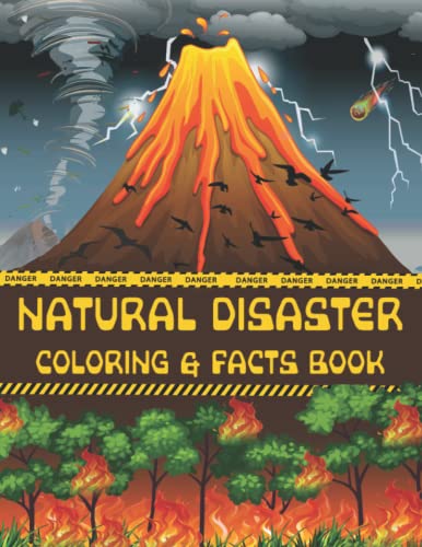 Amazon.co.uk Hot New Releases: The bestselling new and future releases ...