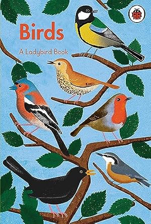 What to Look For in Spring: A Ladybird Book - Kindle edition by Jenner ...
