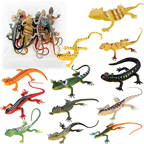 Get up Close and Personal with These Stunningly Hued Lizards: Top 10 ...