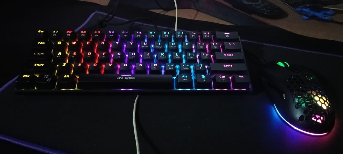 Ant Esports MK1200 Mini Wired Mechanical Gaming Keyboard with RGB ...