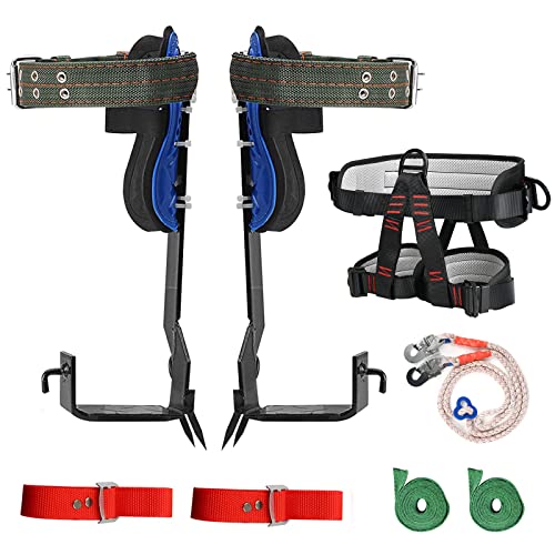 Best Tree Climbing Gear: Essential Tools for Scaling Trees Safely