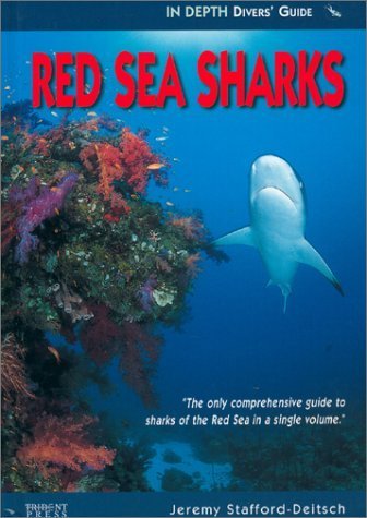 Red Sea Sharks (In Depth Diver's Guides): Amazon.co.uk: Stafford ...